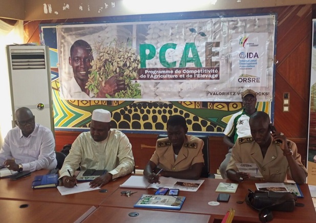 Restructuration de la chaîne de valeur arachide : Sédhiou accueille le ...